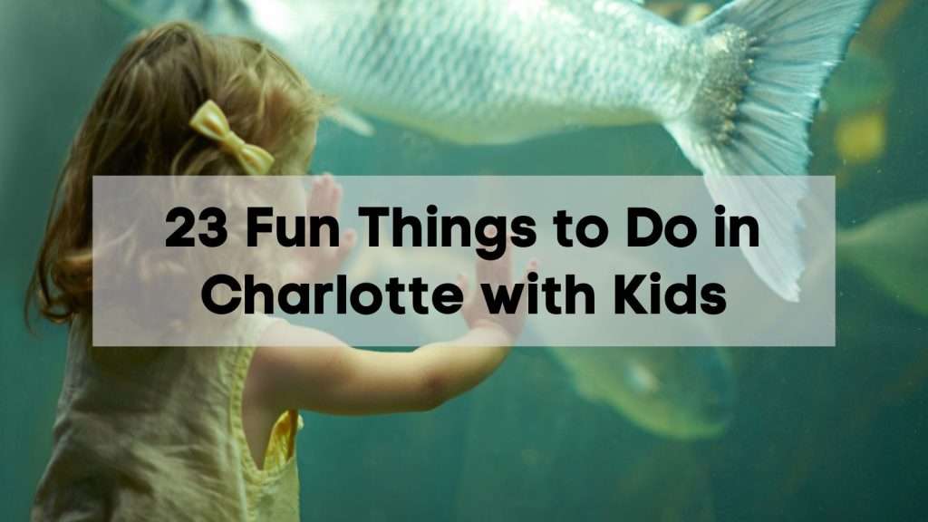 23 Things to Do in Charlotte with Kids 🎢 – Fun Things to Do in Charlotte NC for Families
